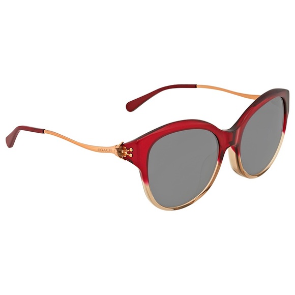 Coach | Accessories | Coach Red Sunglasses N27949 | Poshmark